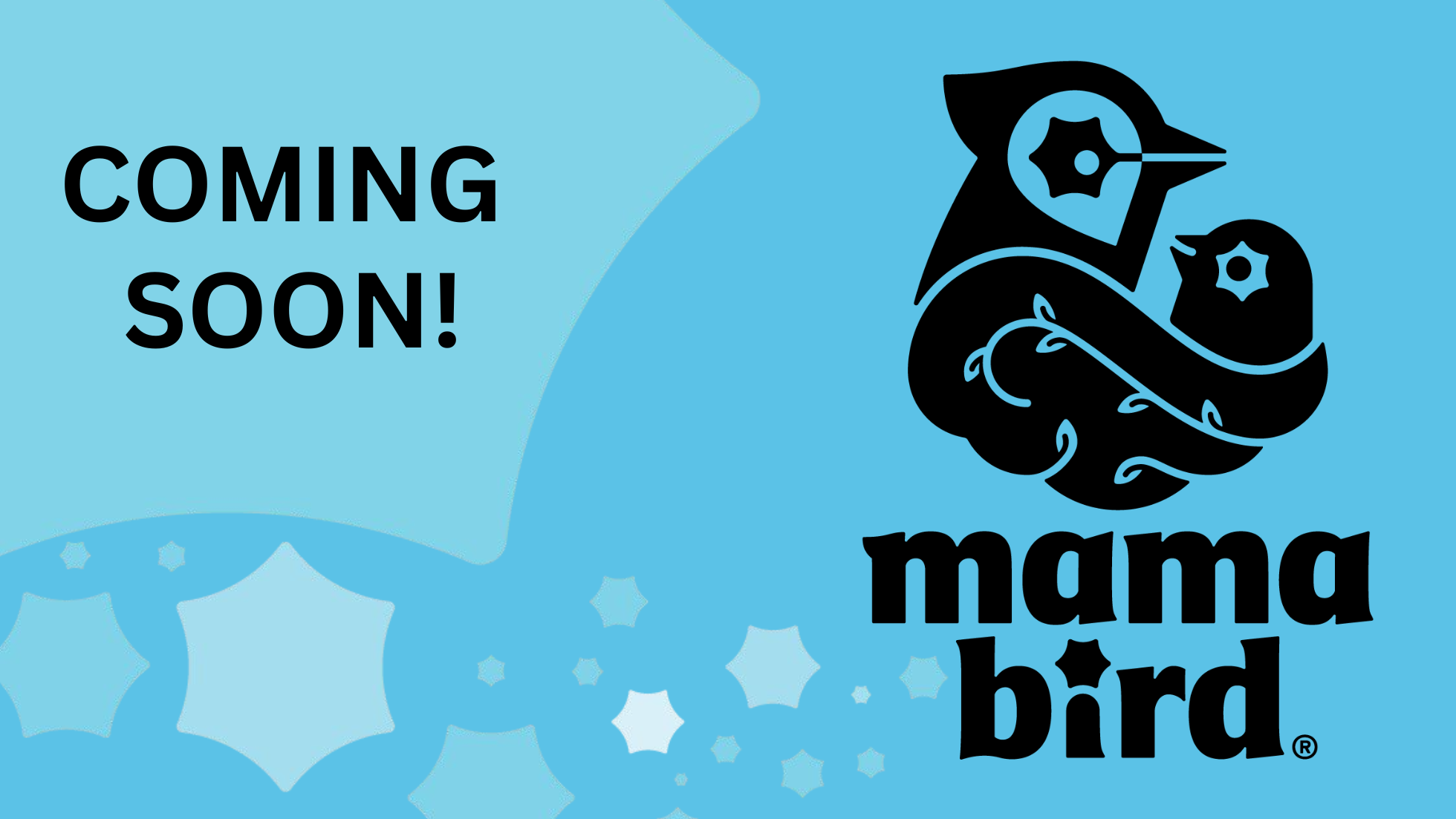 Best Nest Wellness Becoming Mama Bird: 2026 Guide to Brain-First Healt