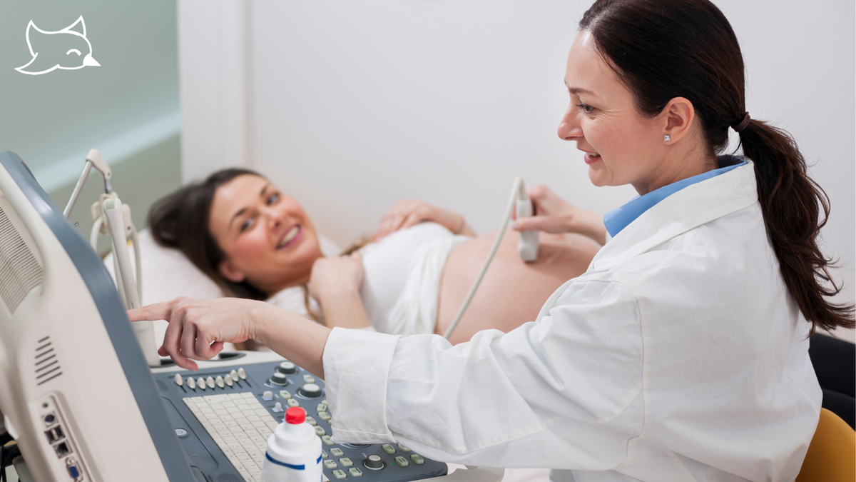 Prenatal and Postnatal Care for Expecting Mothers (a Quick Guide)